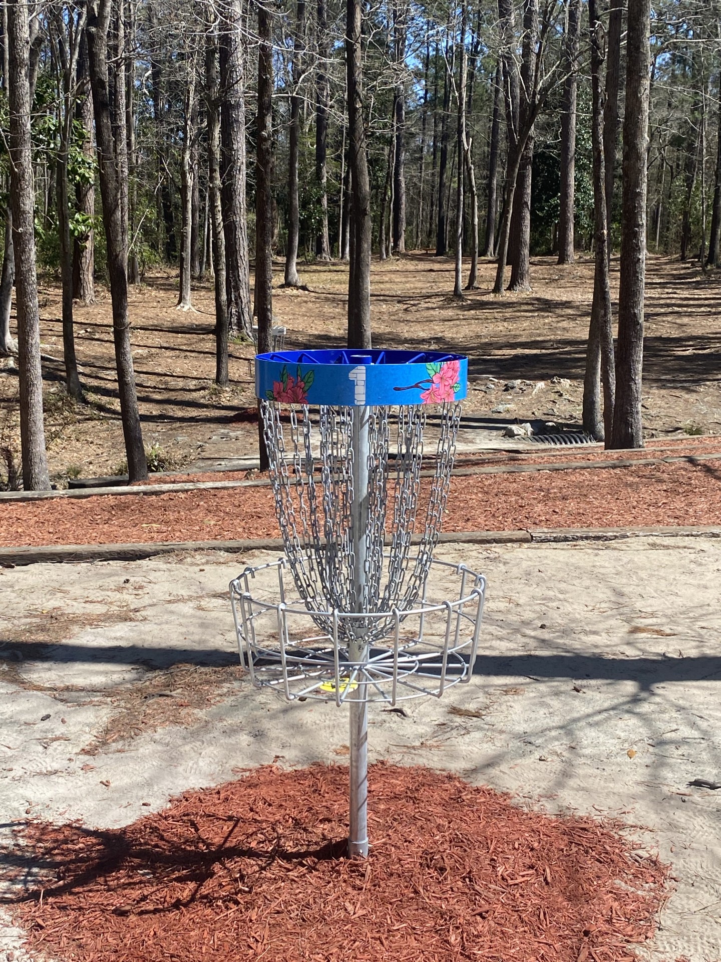 NHDGC Club Dubs at Castle - Week 22 short pads to white baskets (CTPs 3 ...