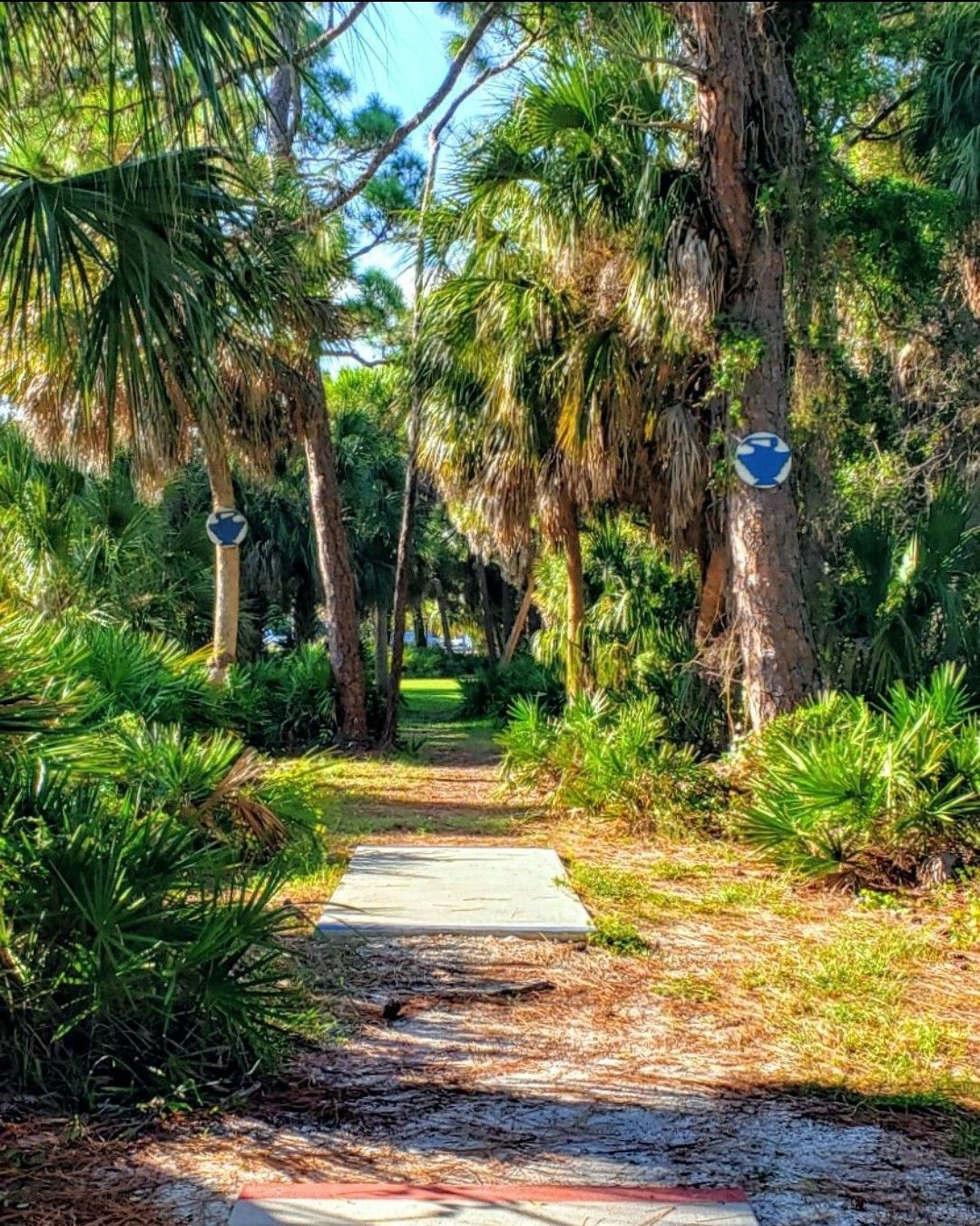 Max Dubs | St. Petersburg, FL | UDisc Events