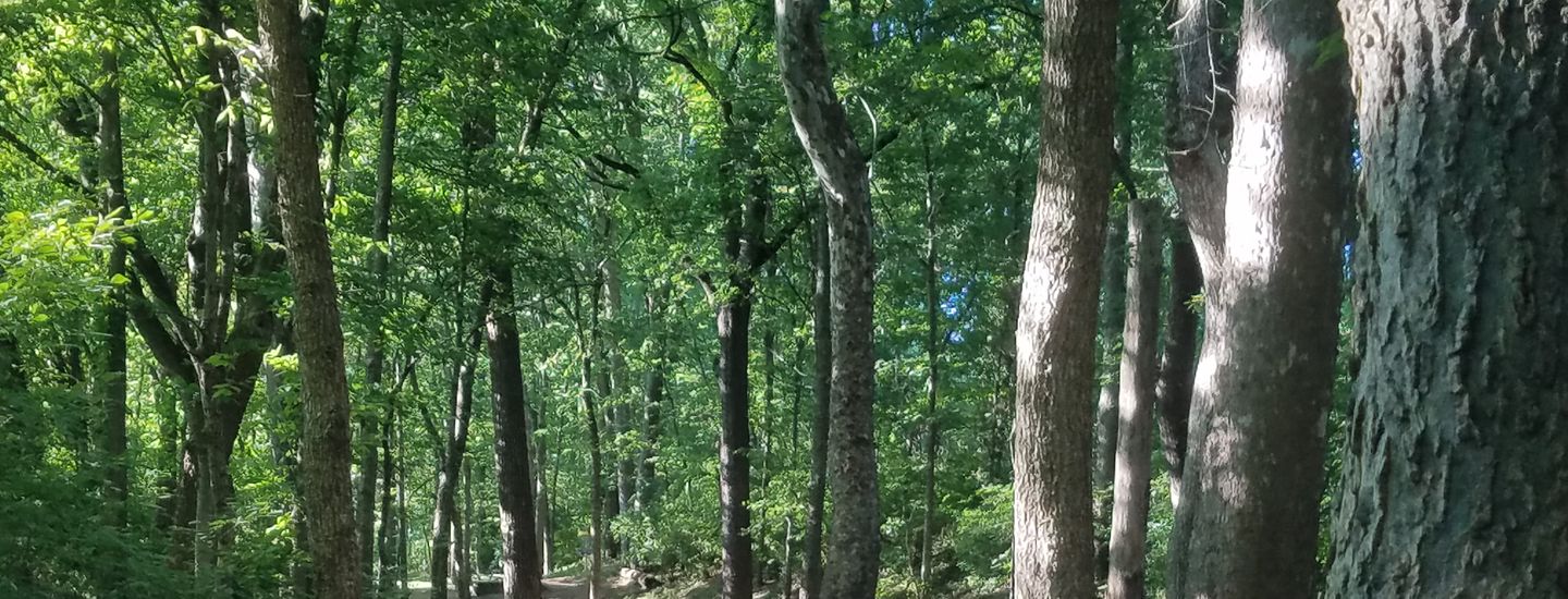 League Schedule | HDGU Thurs Random Draw | UDisc Leagues