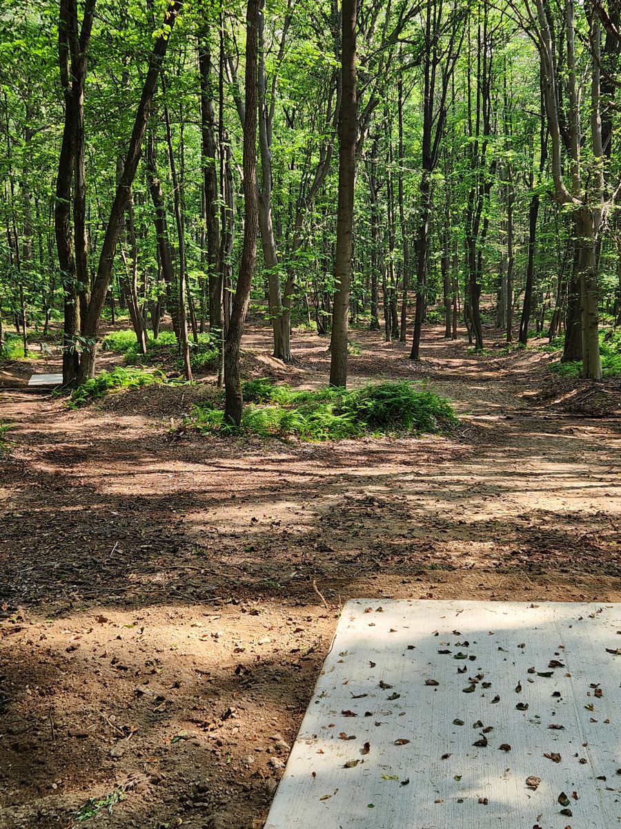 Lanchester Disc Golf Course Grand Opening | Churchtown, PA | UDisc Events